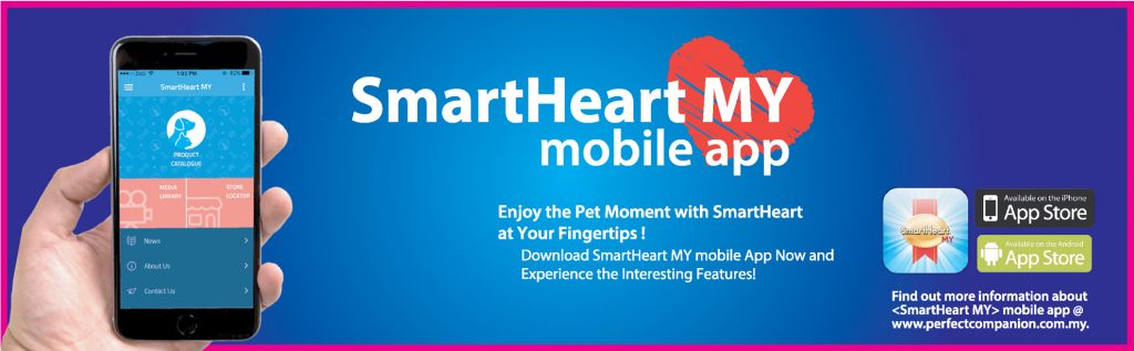 Home - Perfect Companion Malaysia