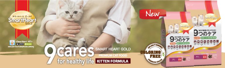 Home - Perfect Companion Malaysia