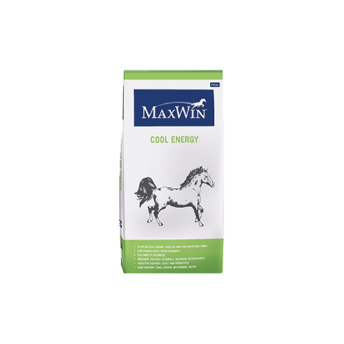 Maxwin 001R - Perfect Companion Malaysia