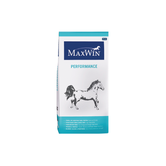 MaxWin Performance - Perfect Companion Malaysia