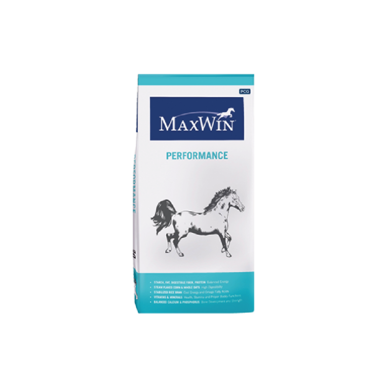 MaxWin Performance - Perfect Companion Malaysia